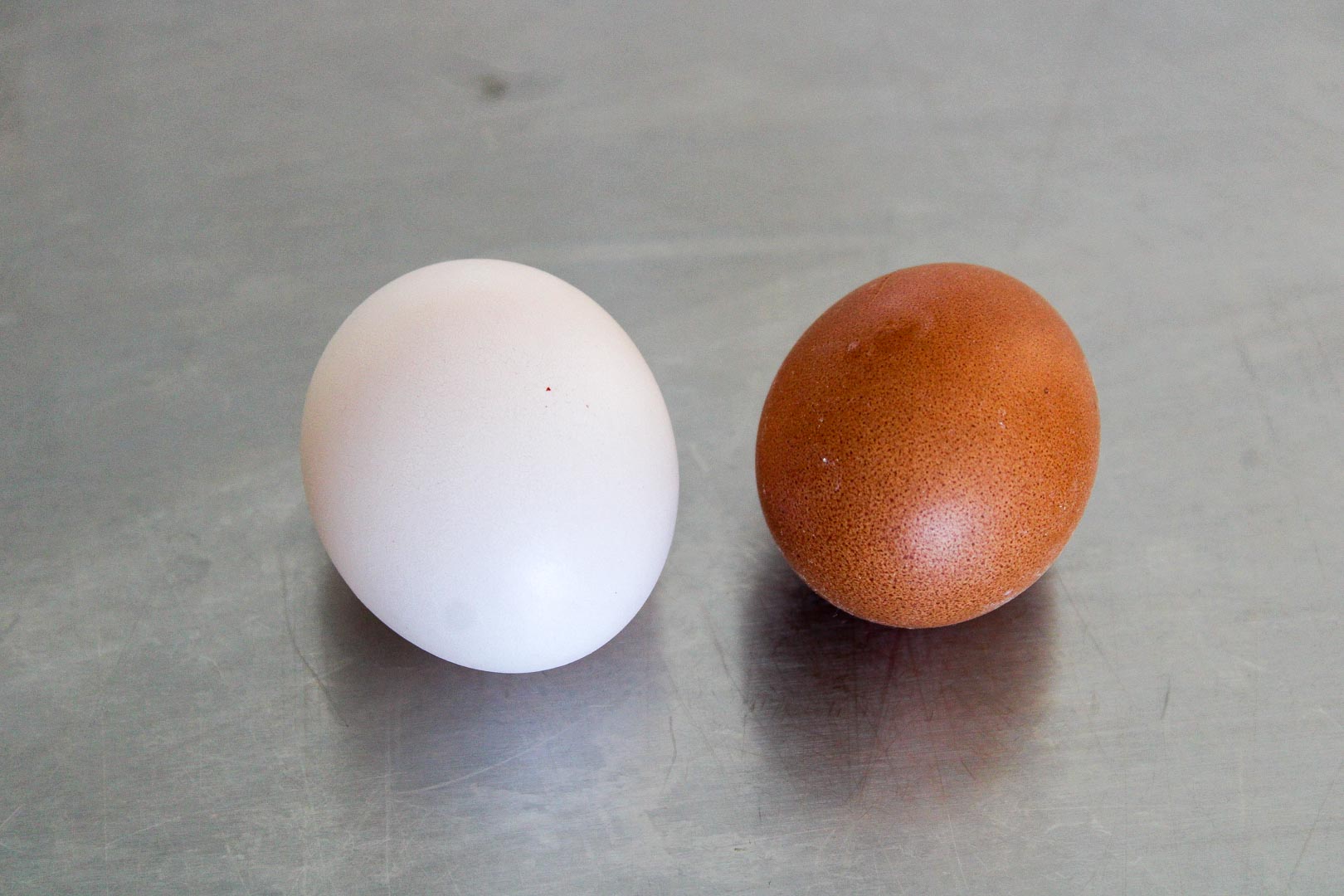 Atividade "Dia de Ciência": CATAA – Centro de Apoio Tecnológico Agro ...